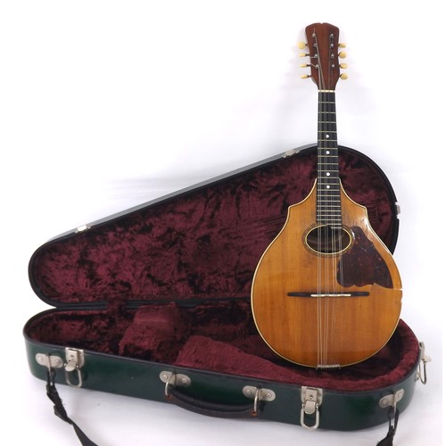 Rare and unusual cylinder back mandolin by and labelled Vega... | Barnebys