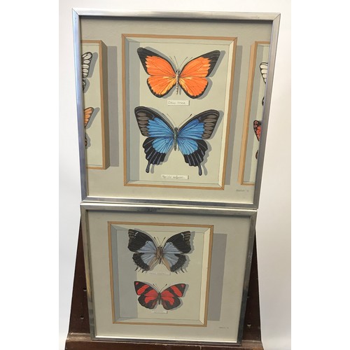 Jack Moncur Two original paintings of Butterfly specimens. ... | Barnebys