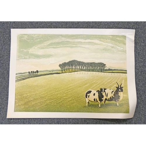 BARBARA ROBERTSON, DOMINO & FRIEND, SIGNED IN PENCIL, LIM... | Barnebys
