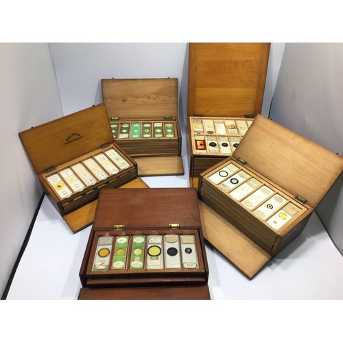 Over 350 specimen slides including examples prepared by Rich... | Barnebys