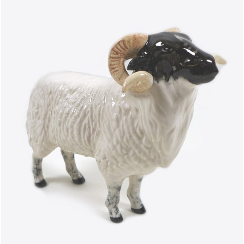 A Beswick Black-Faced Ram, model 3071, head lifted upwards, ... | Barnebys