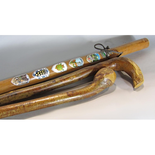 A rambler’s walking stick with resort badges and two natural... | Barnebys