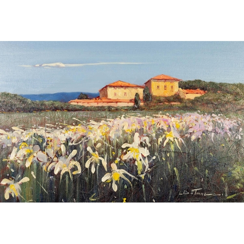 BRUNO TINUCCI (b.1947) OIL ON CANVAS ‘Viola e Bianco II’ S... | Barnebys