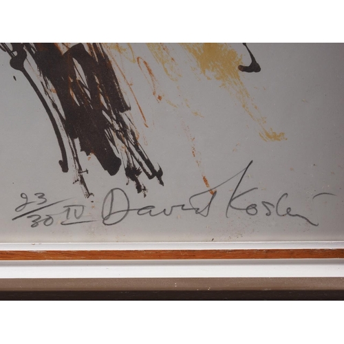 David Koster: a signed limited edition screen print, eagle owl, 23/30 ...