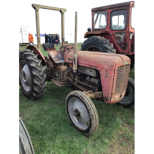 Massey Ferguson FE35 tractor. 1957. Petrol TVO, grey/gold, wheels ...