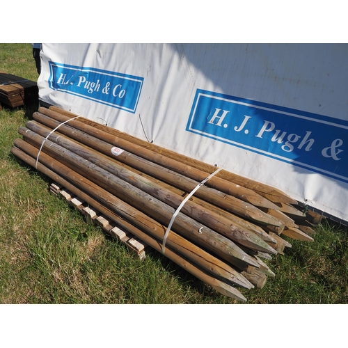 Stakes 8ft -25