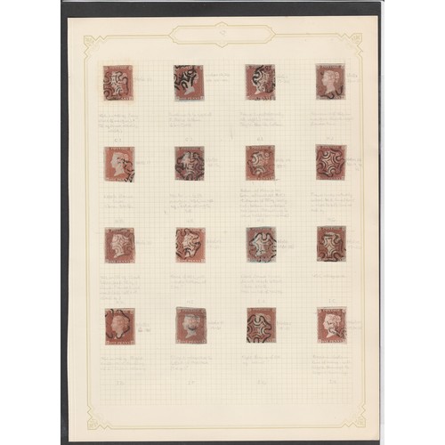 Easy Live Auction | Live & Timed Bidding in Online Auctions