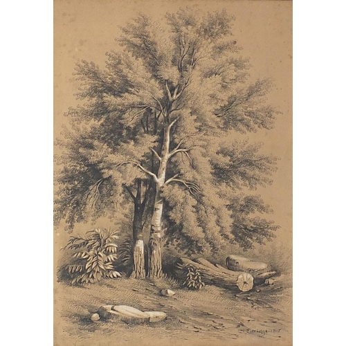 Henry Edridge 1815- Trees, early 19th - auctions & price archive