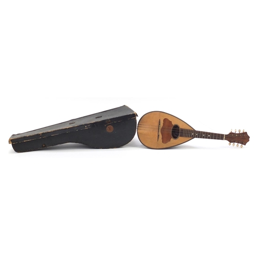 Inlaid rosewood melon shaped mandolin with protective carry case ...