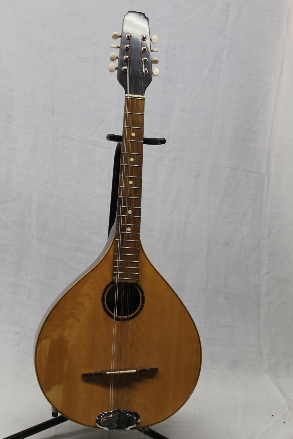 Mandola Leone eight strings and satin - auctions & price archive