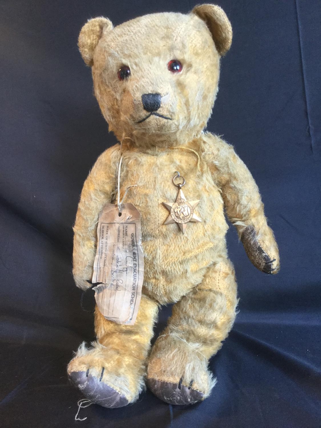 RARE ORIGINAL WW2 42CM TALL CHILDS EVACUEE TEDDY BEAR WITH TAG AND MEDAL