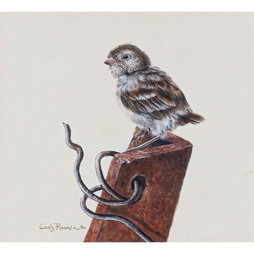 Cees Roorda (Dutch, b.1942), House sparrow chick perching on a fence ...