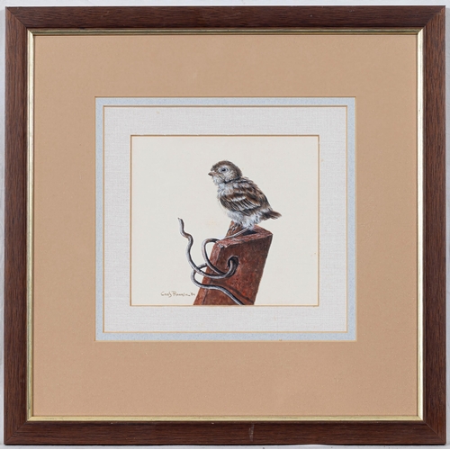 Cees Roorda (Dutch, b.1942), House sparrow chick perching on a fence ...